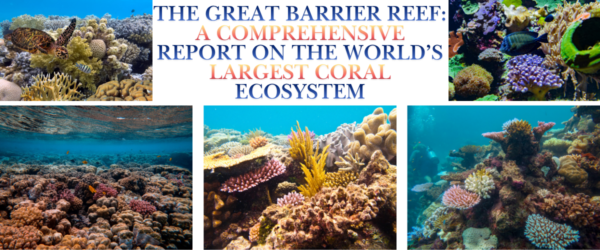 The Great Barrier Reef: A Comprehensive Report on the World’s Largest ...